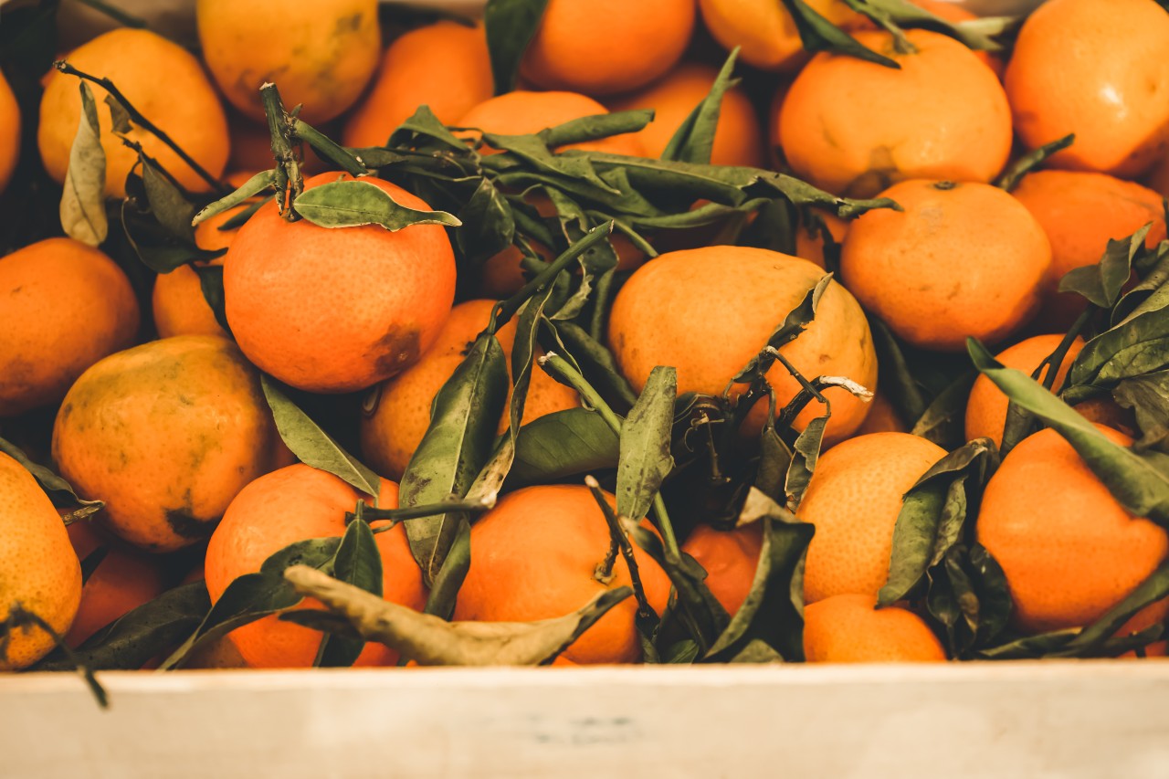 Make your own Valencia Oranges – a medieval celebration food | The ...