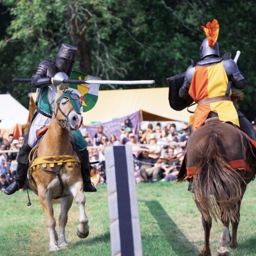 Discover | The Loxwood Joust